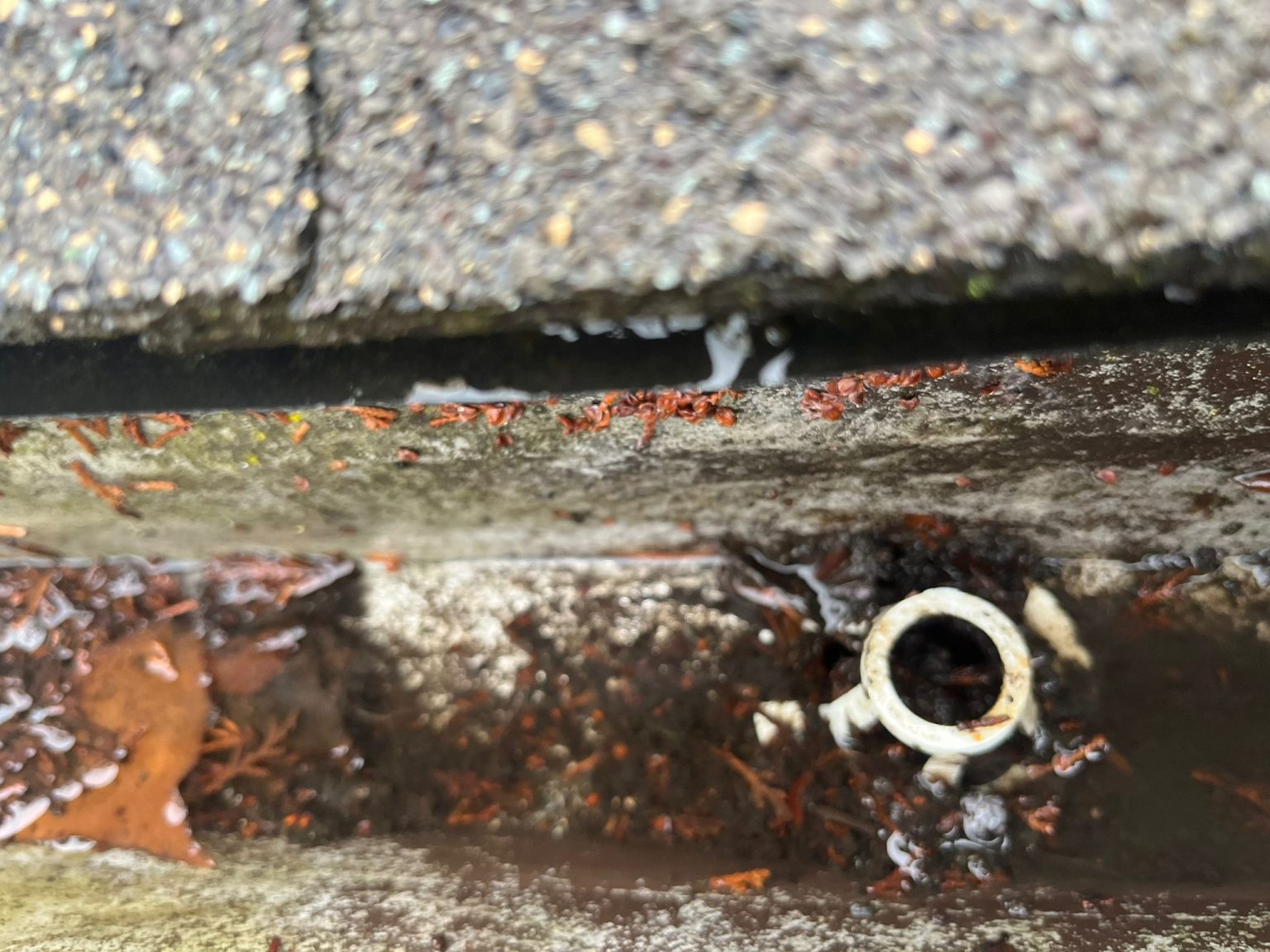 Installation of Funnels - Cleaning services by pressure So Clean